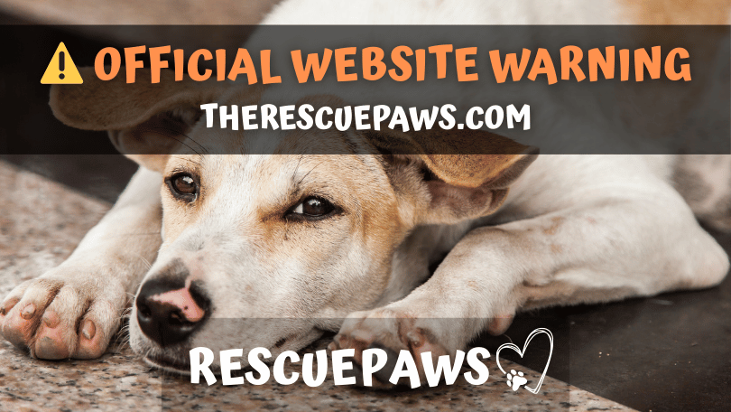 How to Spot Fake Rescue Paws Websites | Official Warning