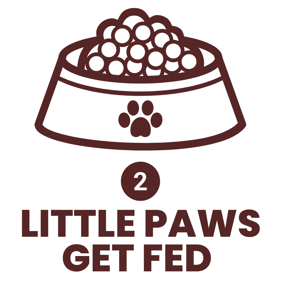 collection original bracelets