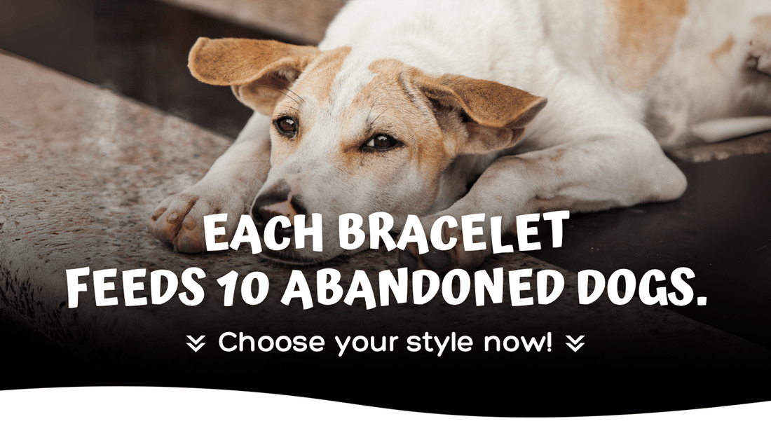 collection original bracelets